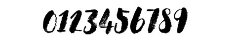 canvas script heavy font script decorative what font is