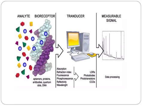 Rapid Methods Of Detection Of Food Borne Pathogens Pptx Chemistry
