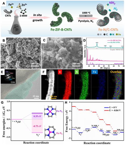A A Synthetic Illustration Of The Single‐atom Fe‐n‐c Catalyst Sem