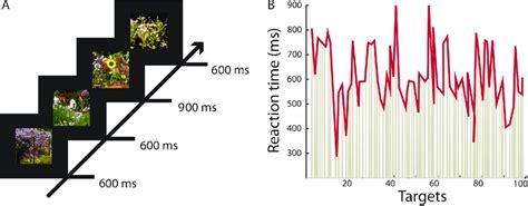 The Continuous Temporal Expectancy Task Results In Large Variation In