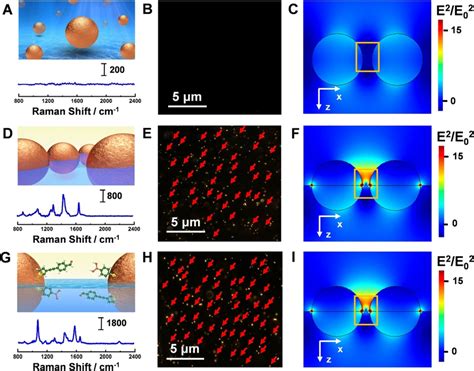 A Schematic And Sers Spectrum Of Aunps In Water Phase B The Download Scientific Diagram