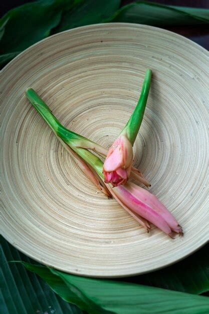 Premium Photo Bunga Kantan Known As Torch Ginger Flower With Scientific Name Etlingera Herb On