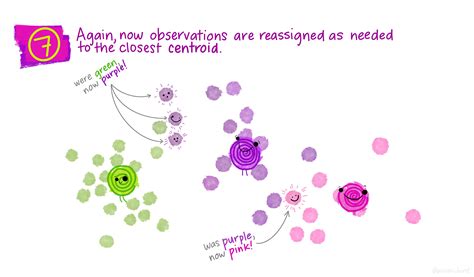 Allison Horst K Means Clustering Series