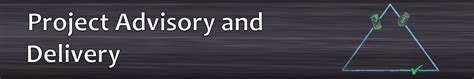 Project Advisory And Delivery Execulytics Consulting