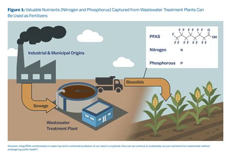 Sewage Sustainability Policies To Balance Per And Polyfluorinated Alkyl Substance Pfas