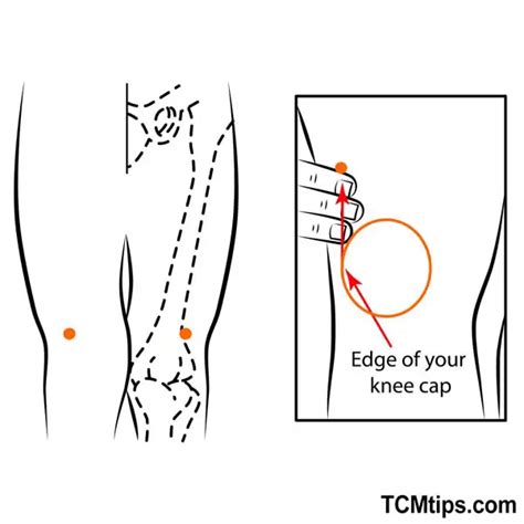 Top 16 Pressure Points For Stomach Ache Doctor Approved Relief