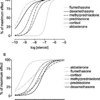 Nonlinear Regression Curves For The Concentration Download Scientific Diagram
