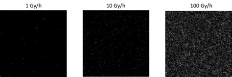 Photo Induced Current In A Cmv2000 Image Sensor Cmos Exposed To Download Scientific Diagram