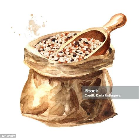 종이 자루에 퀴노아 씨앗을 섞습니다 흰색 배경에 고립 된 손으로 그린 수채화 그림 건강한 식생활에 대한 스톡 벡터 아트 및 기타 이미지 건강한 식생활 검은색 곡초류