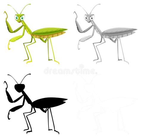 Grasshopper With Different Facial Expressions Stock Vector Illustration Of Life Humor 114821757