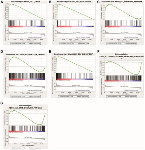 Identification Of A Methyltransferase Related Long Noncoding Rna Signature As A Novel Prognosis
