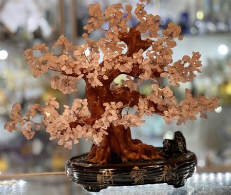 Feng Shui Gem Tree Archives Crystal Garden Metaphysical Shop Mt Pocono PA