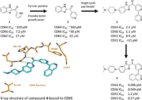 3 Structure Based Optimization Of A Fragment Hit Download Scientific