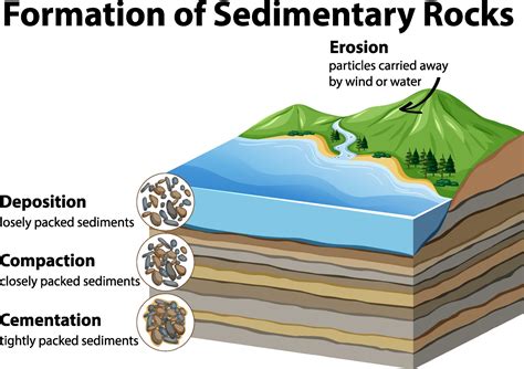 What Is Sedimentary Rock In Science At Eugene Bergeron Blog