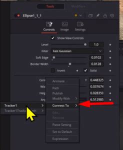 2 Ways To Blur Part Of Video In DaVinci Resolve Hollyland