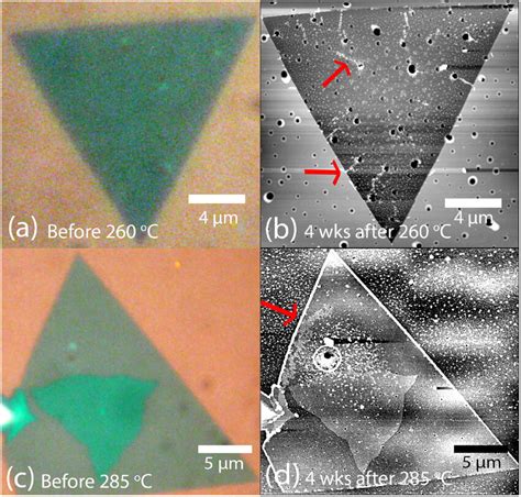 A Optical Image Of A Cvd Grown Mos2 Monolayer 1 Month After Growth
