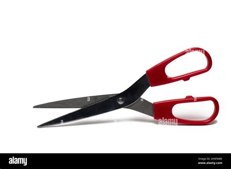Close Up Shot Slightly Cut Out Stock Images And Pictures Alamy