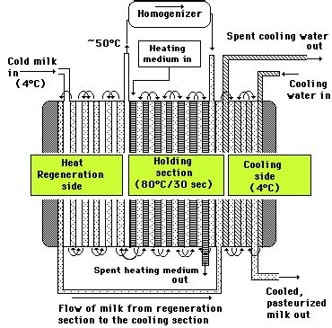 Venkatesh S Blog Pasteurization Of Milk