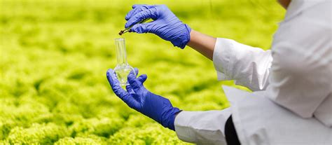 Environmental Testing Lab Sitarc