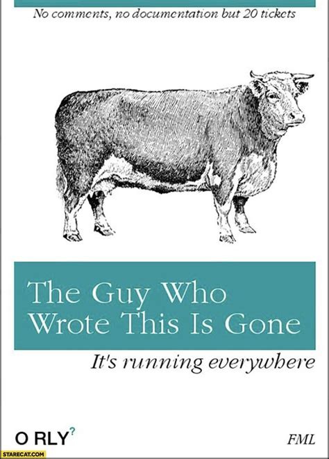 Neworeillybook R Programmerhumor