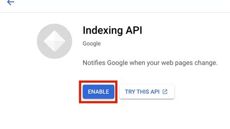 Google Indexing API Kurulumu ve Kullanımı Python WordPress Soft