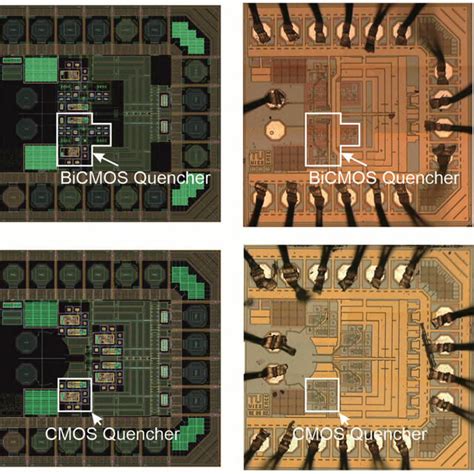 Layout Plots Left Side And Chip Photos Right Side Of The Bipolar