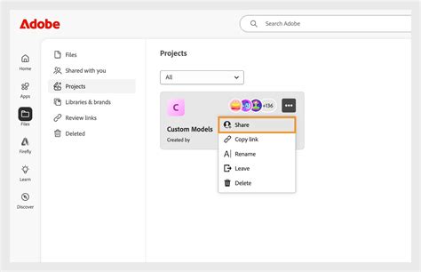 manage custom model project access