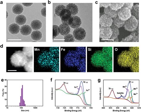 Structural And Compositional Characterizations Of Imsn Nanozyme A B