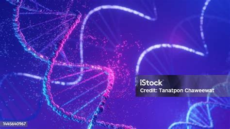 Dna 나선형 구조 Dna 나선 상보적인 서열 유전 코드 또는 게놈 가닥 유전자 발현 뉴클레오티드 데이터베이스 전사 및 번역의 중심 교리 과정 3d 렌더링 Rna에 대한