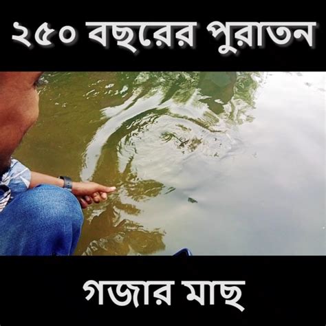 Suvo Roy On Linkedin Grow Business Attractive Promotional Video