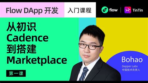 第一课 1基本语法｜全套flow Dapp开发入门课程 Youtube