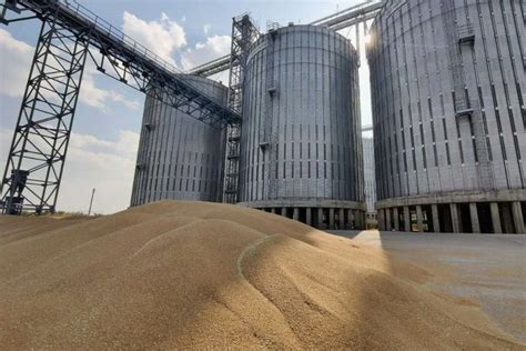 Що таке елеватор Optimize Illustrator