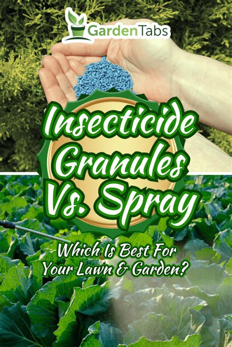 Insecticide Granules Vs Spray Which Is Best For Your Lawn And Garden