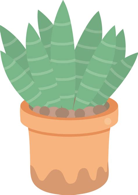 Cute Minimal Cactus And Succulent In Pot 12716339 Png