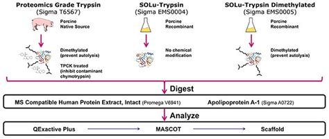 Evaluation Of Recombinant Chemically Treated Trypsin In Proteomics And