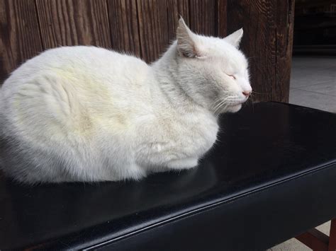 Imgur The Magic Of The Internet