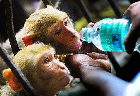 Photo Feature Sl Shanth Kumar Parliamentarian