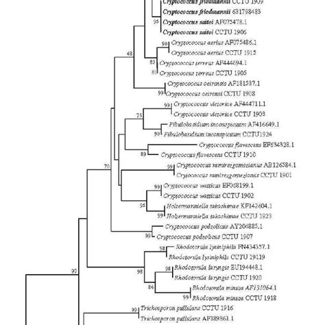 Photographs Of Identified Macrofungi Download Scientific Diagram
