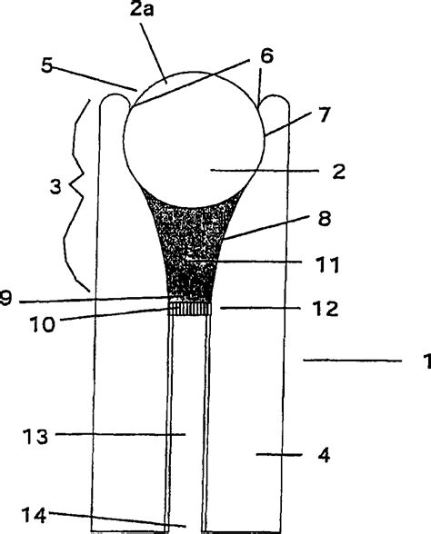 Sampling Device Eureka Patsnap