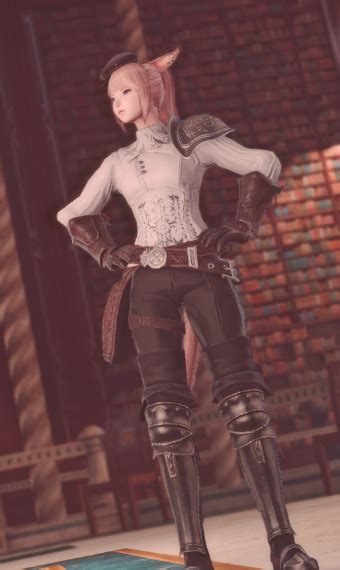 Constructed Criticism Eorzea Collection