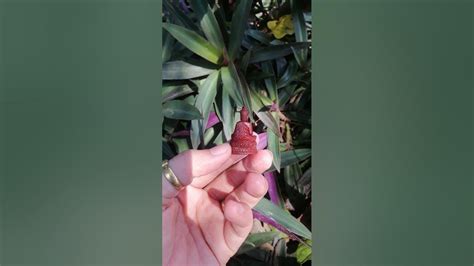 Khmer Sculptor Most Beautiful Sculpture ចម្លាក់ខ្មែរ The Best Sculptor In Cambodia Youtube