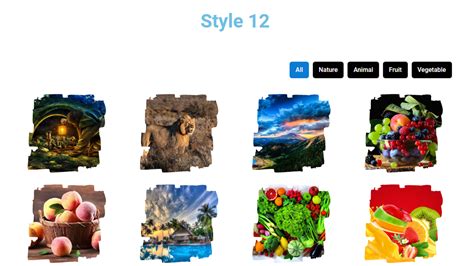 Bwd Filterable Gallery Addon For Elementor By Bestwpdeveloper Codecanyon