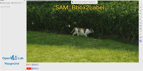 标注神器 Label Studio X SAM 半自动化标注 CSDN博客