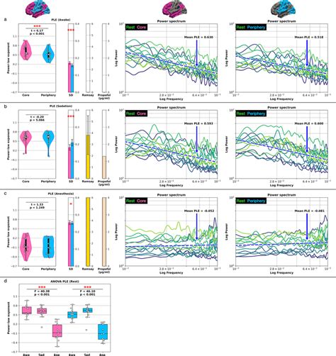 Resting State Inverse Power Law Distributions And Ple Where Each Line