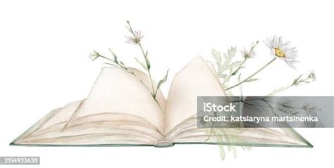 카모마일 또는 데이지와 흰색 작은 꽃 수채화 그림이 배경에 고립되어 있는 열린 책입니다 멋진 이야기와 꽃 에키네시아가 있는 초록색을 책으로 읽습니다 빈티지 오래 된 교과서
