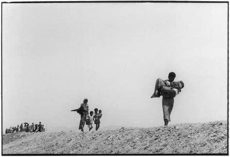 Index Of Wp Content Uploads Cortex