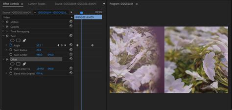 How To Use Effects In Adobe Premiere Pro