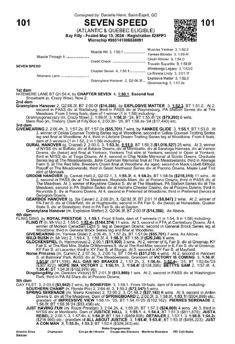 Seven Speed Atlantic Classic Yearling Sale