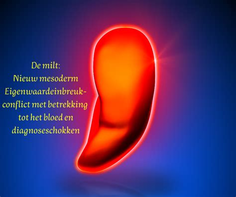 Milt Ontstoken The Healthman