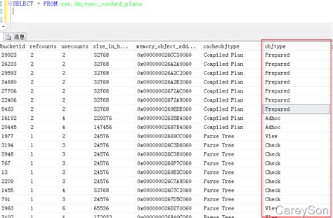 谈一谈SQL Server中的执行计划缓存上 CareySon 博客园